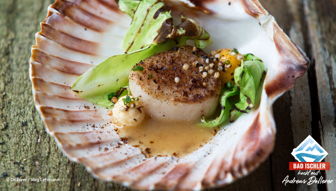 Alpine Jakobsmuschel